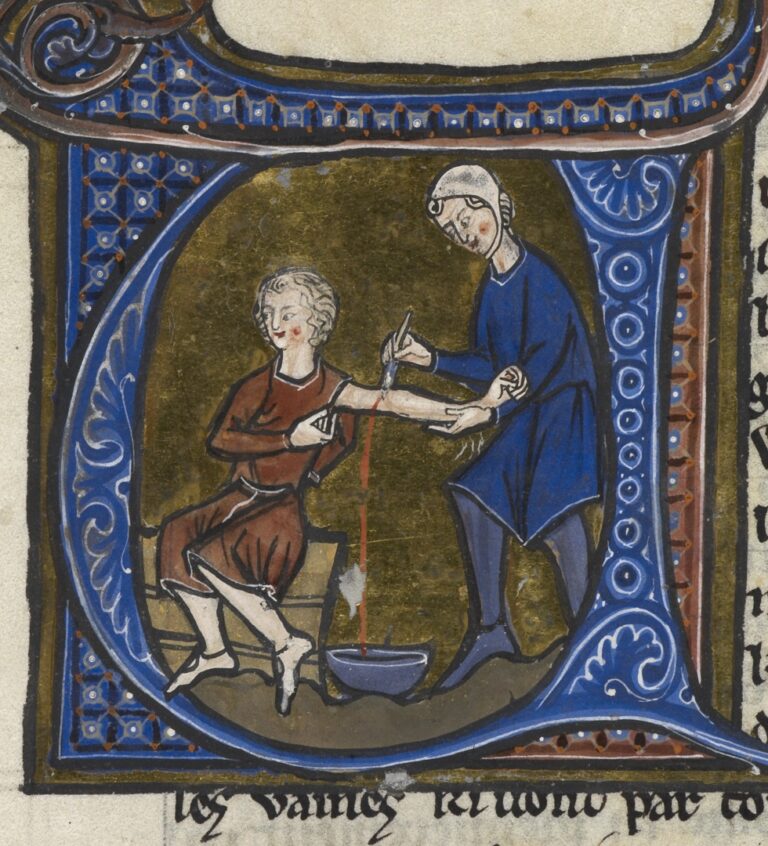 The Medieval Vulva: Signs and Symbols of Sexuality in Medieval ...
